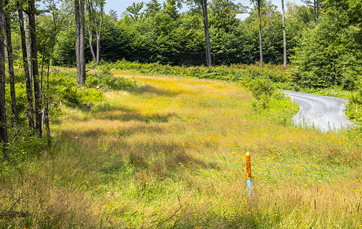 Information for Landowners | National Fuel Gas Company